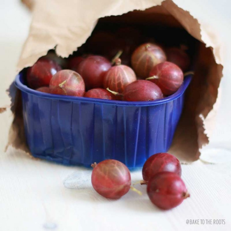 Rustic Gooseberry Cheesecake | Bake to the roots