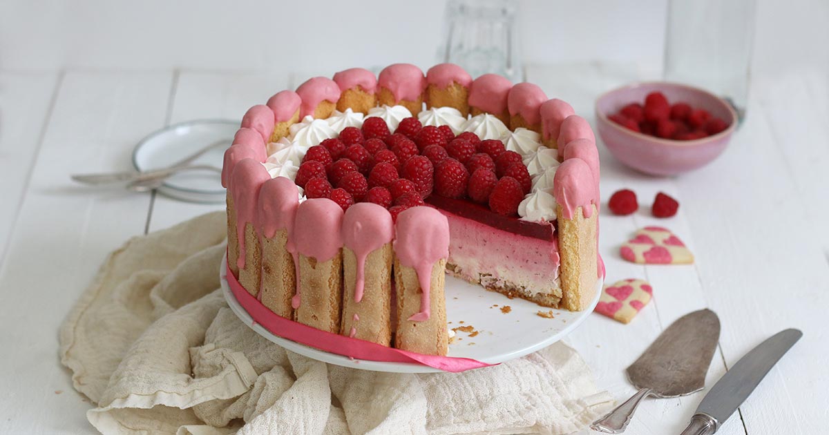 Raspberry Ombre Cheesecake Charlotte | Bake to the roots