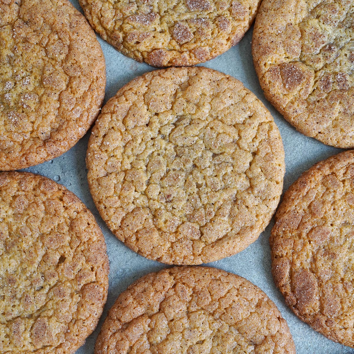 Die Besten Snickerdoodles | Bake to the roots