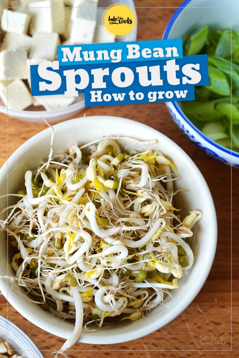 How to grow mung bean sprouts at home | Bake to the roots | Bake to the ...